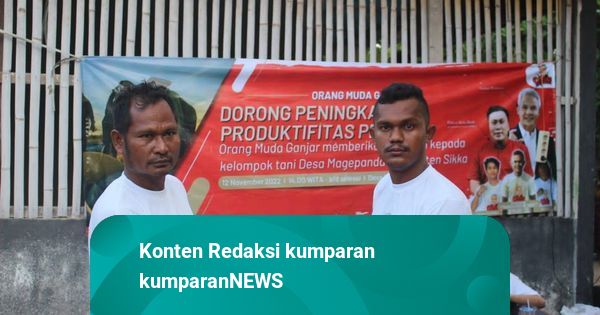 Relawan Orang Muda Ganjar Bagikan Benih Padi ke Kelompok Tani di Kabupaten Sikka | kumparan.com